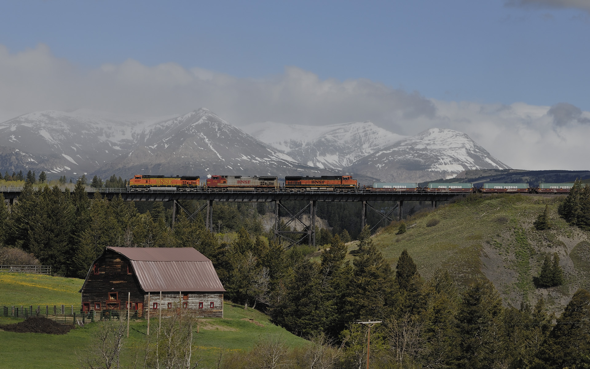 WIDESCREEN CATALOG - DISC 2011-PF1