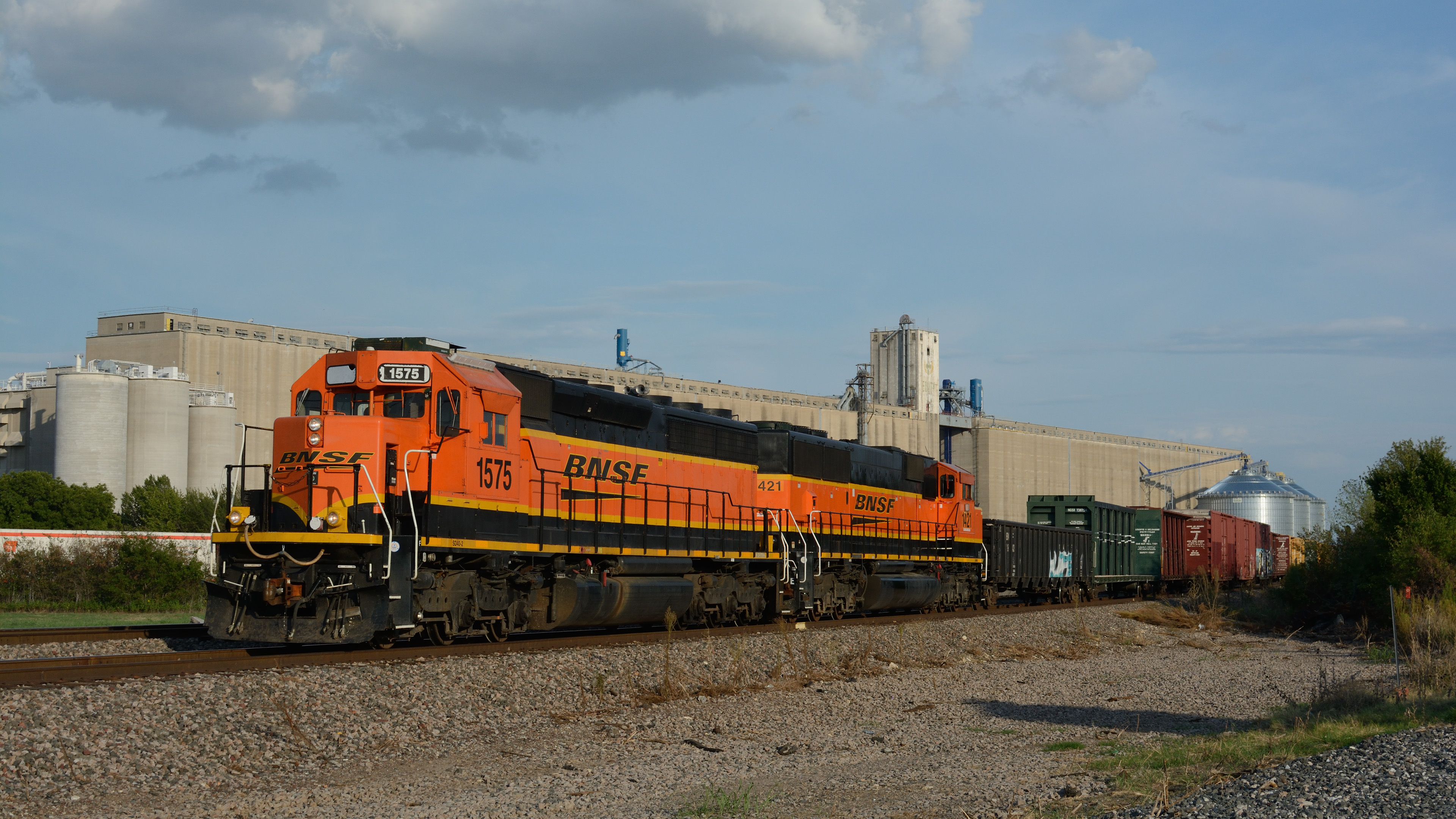 WIDESCREEN CATALOG - DISC 2019-PF1-4K