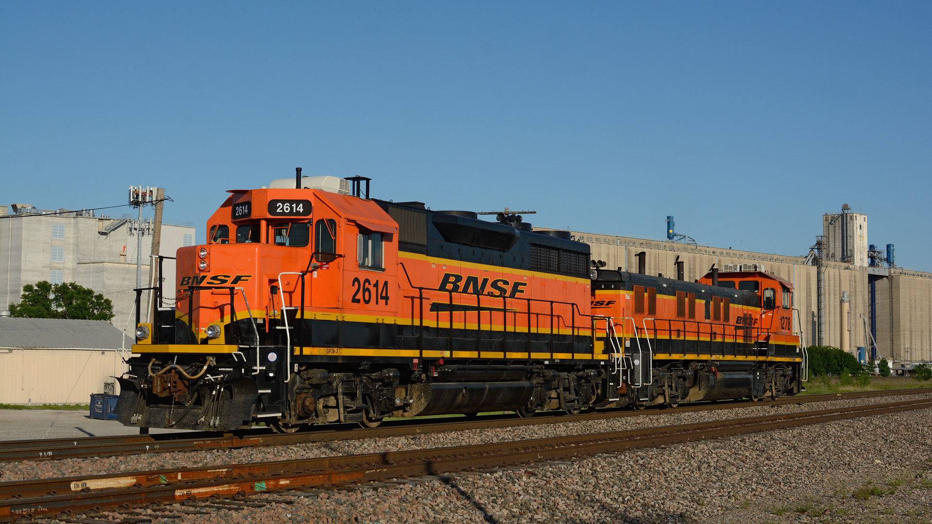 WIDESCREEN CATALOG - DISC 2020-PF1