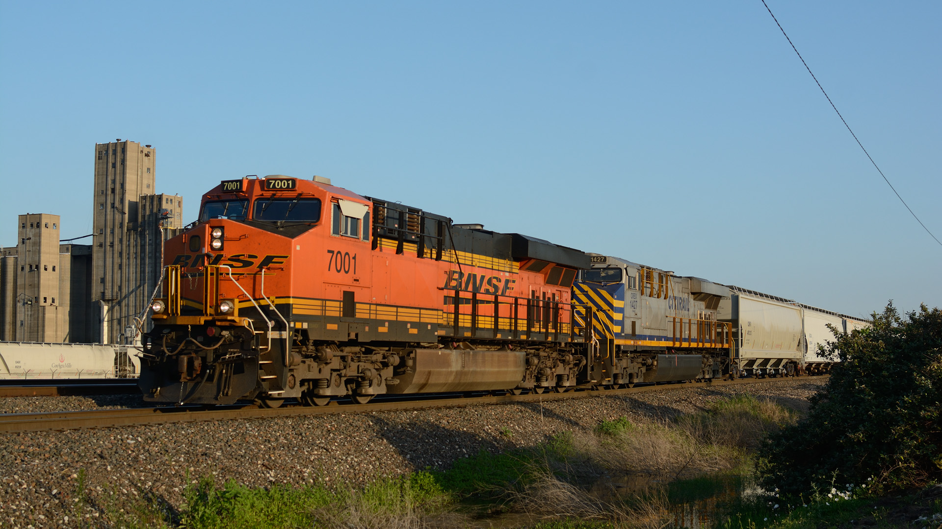 WIDESCREEN CATALOG - DISC 2020-PF1