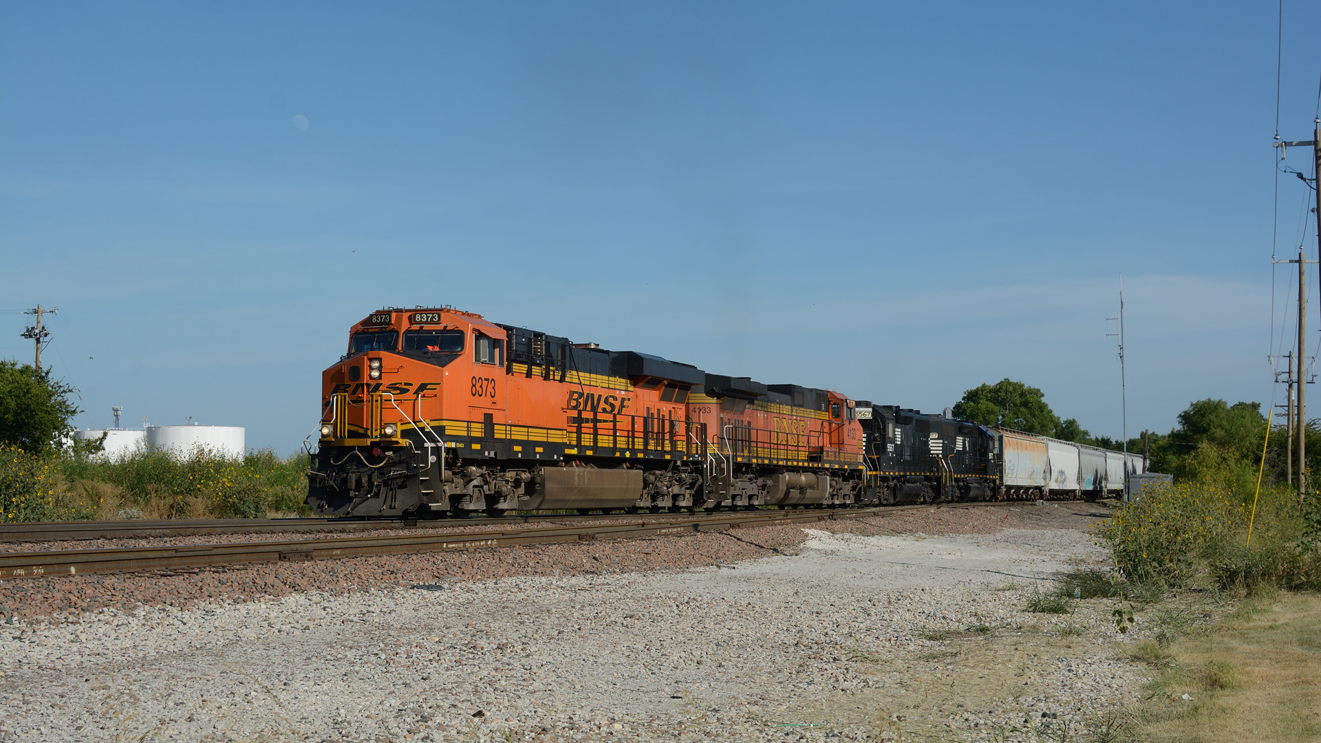 WIDESCREEN CATALOG - DISC 2020-PF1