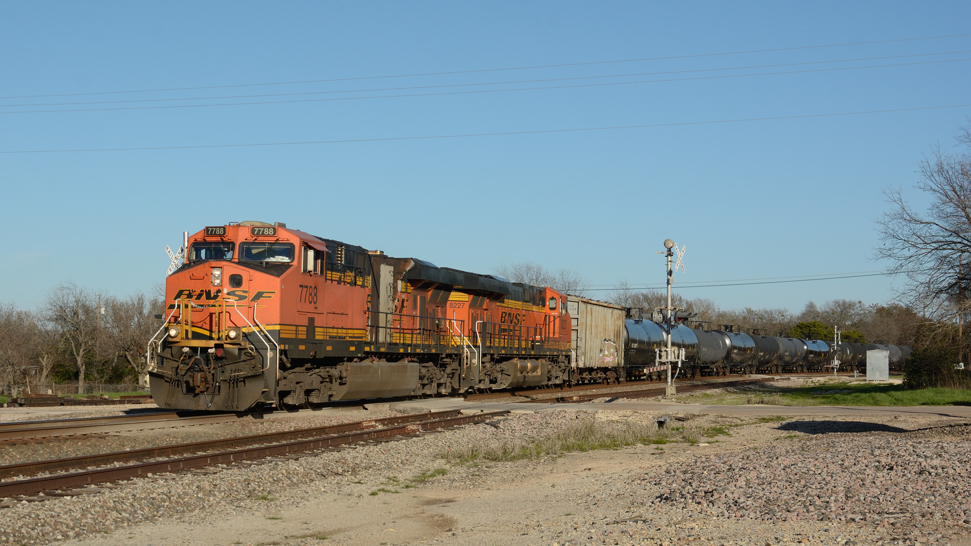 WIDESCREEN CATALOG - DISC 2020-PF1