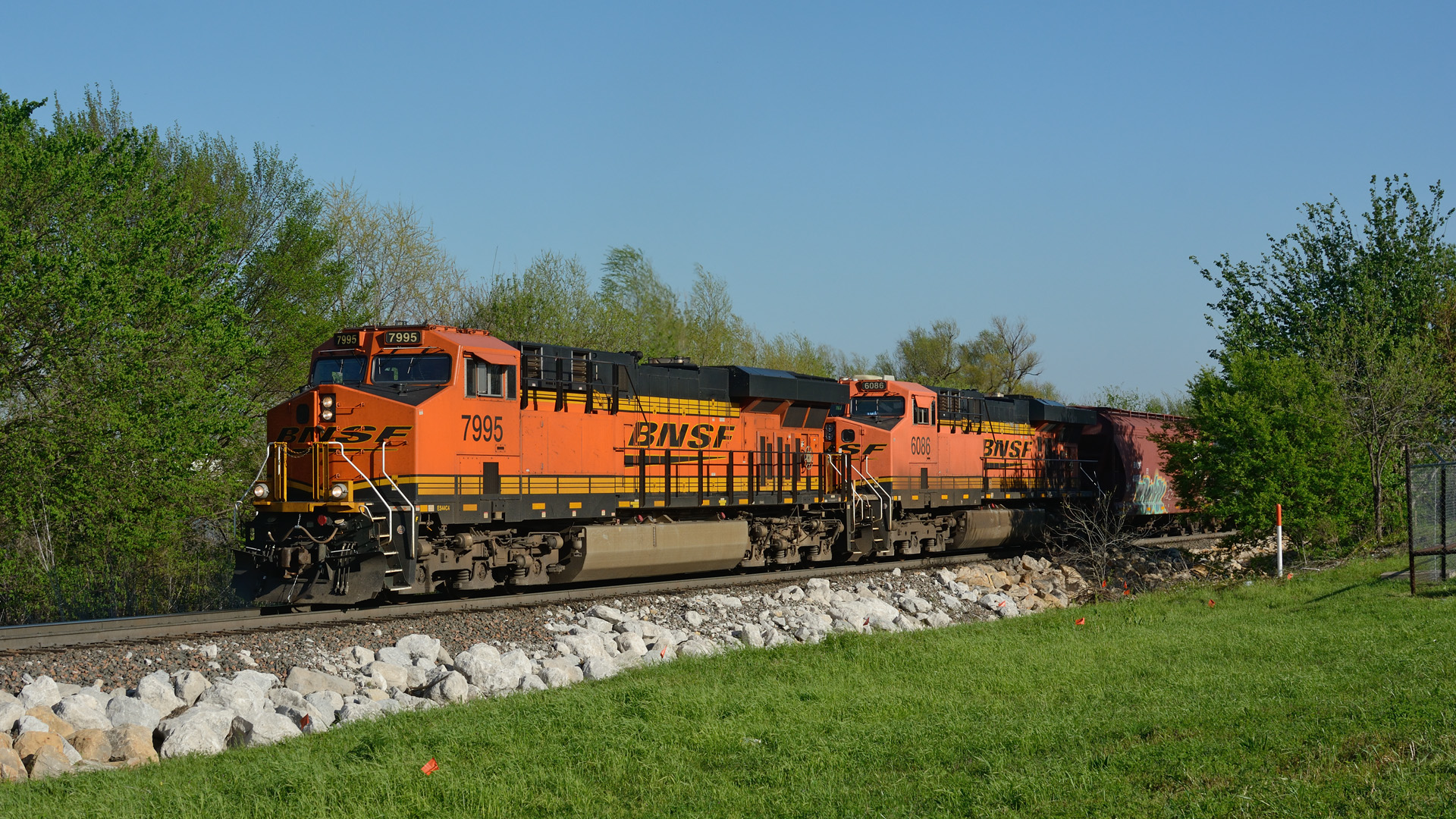 WIDESCREEN CATALOG - DISC 2020-PF1